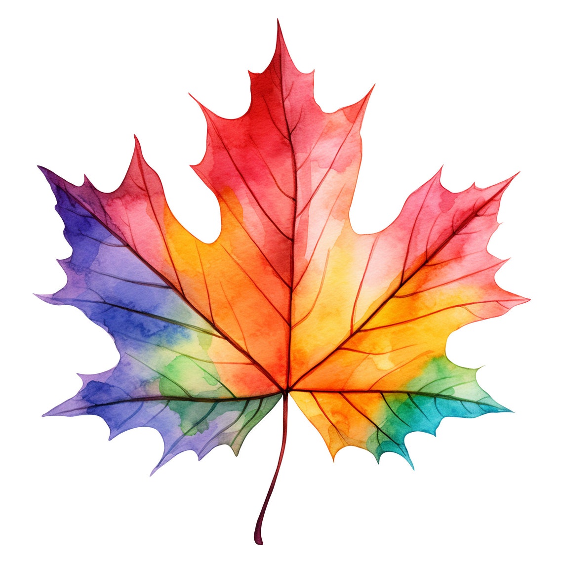Autumn PNG Clipart Maple Leaf Set of 5 Images - Etsy