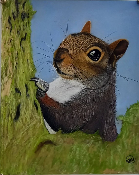 Squirrel Painting in Pastel Pencils | Etsy