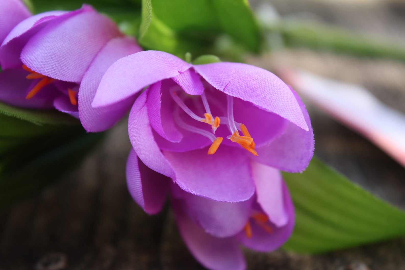 5 Stem Artificial Silk Crocus Flower Bush Choice of Purple - Etsy UK