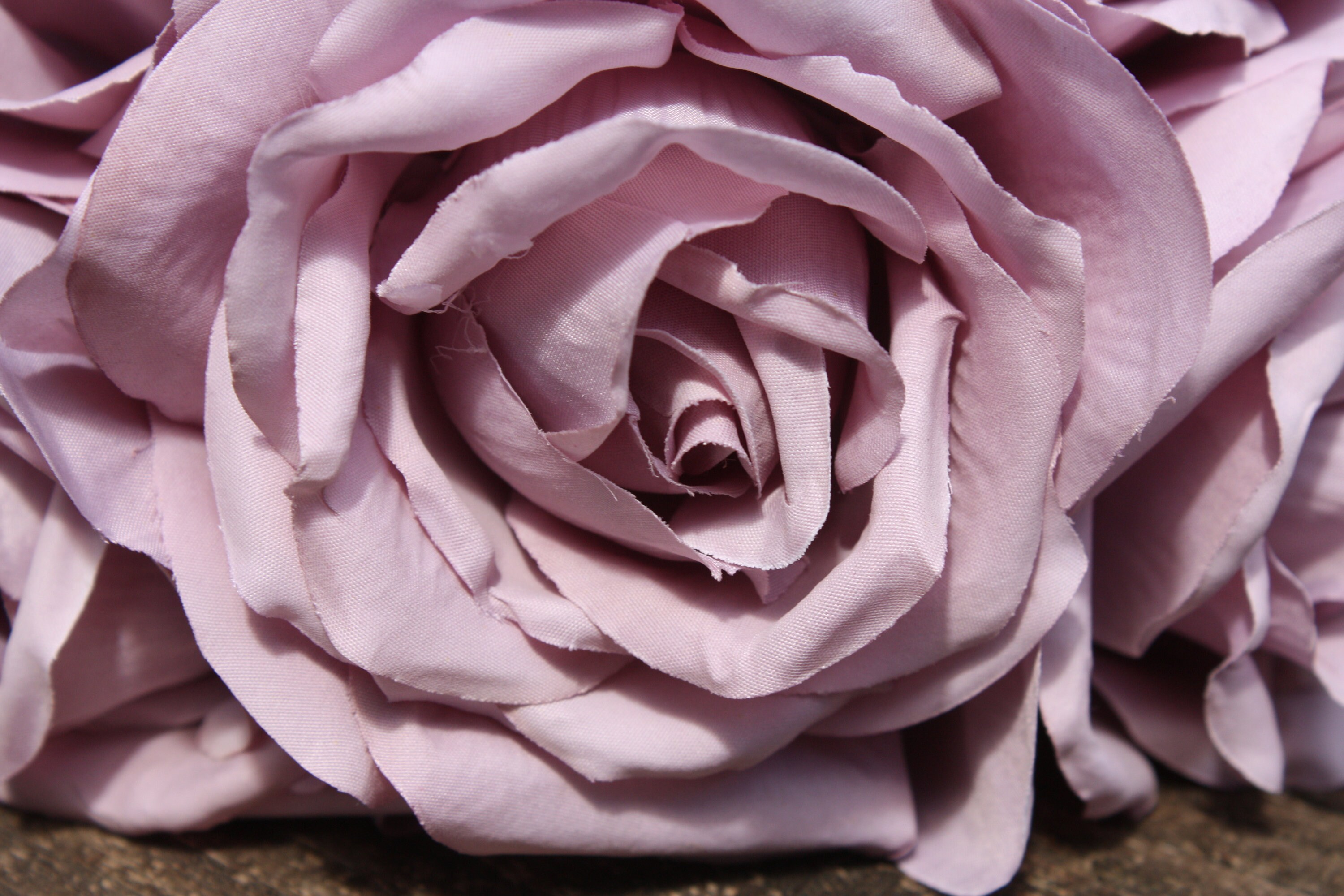 5 x Dusky Lilac Open Silk Roses 10cm on individual wired stems | Etsy