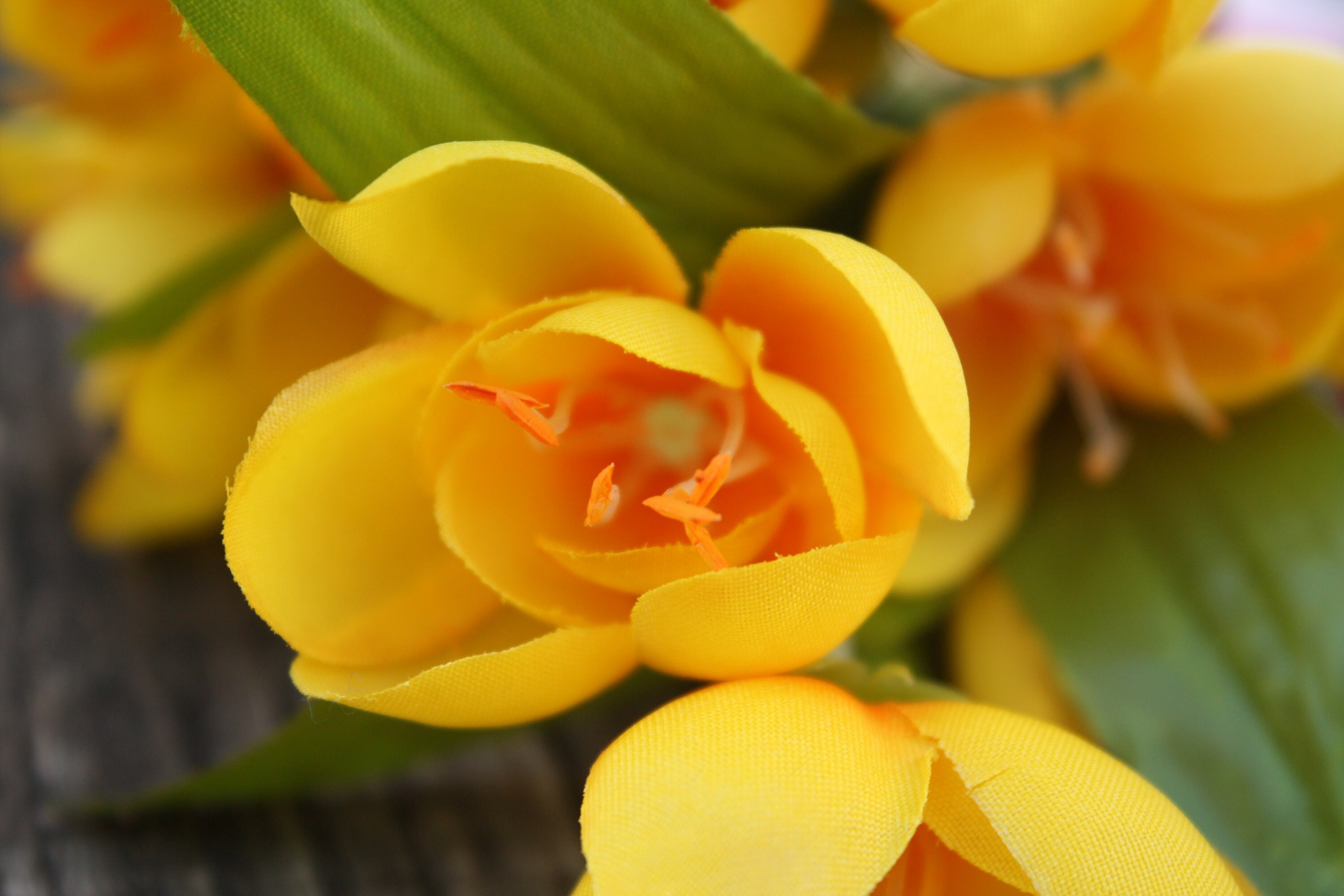 5 Stem Artificial Silk Crocus Flower Bush Choice of Purple - Etsy UK