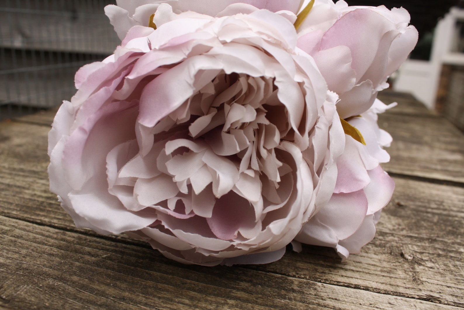 5 X Pale Silver Grey Silk Peony Flowers & Bud Tied Bunch / - Etsy