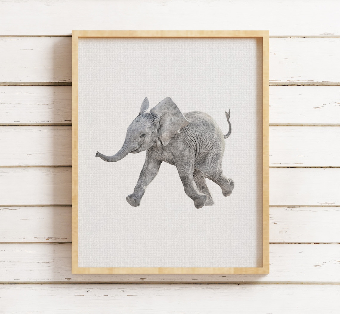 Set of 3 Baby Elephants Prints, Elephants Nursery Animal Decor, Wall ...