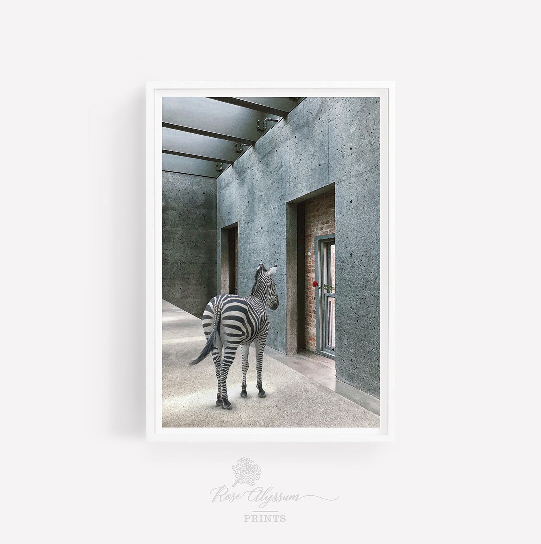 Zebra in Prison Print Art, Zebra and Rose Wall Poster, Zebra Wall Art ...