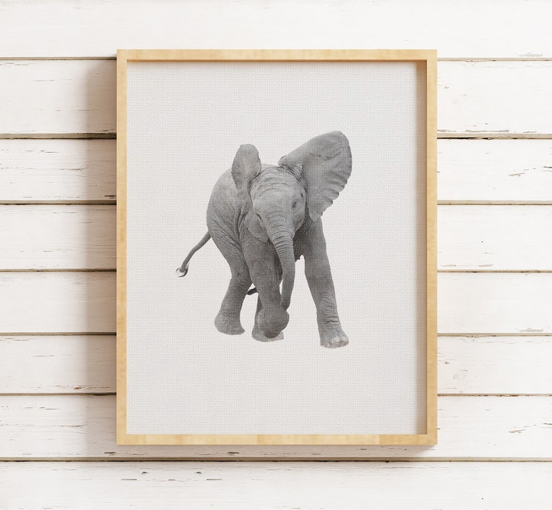 Set of 3 Baby Elephants Prints, Elephants Nursery Animal Decor, Wall ...