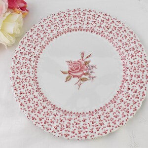 Set of 4 Rose Bouquet Dinner Plates Multi-color Transfer - Made in ...