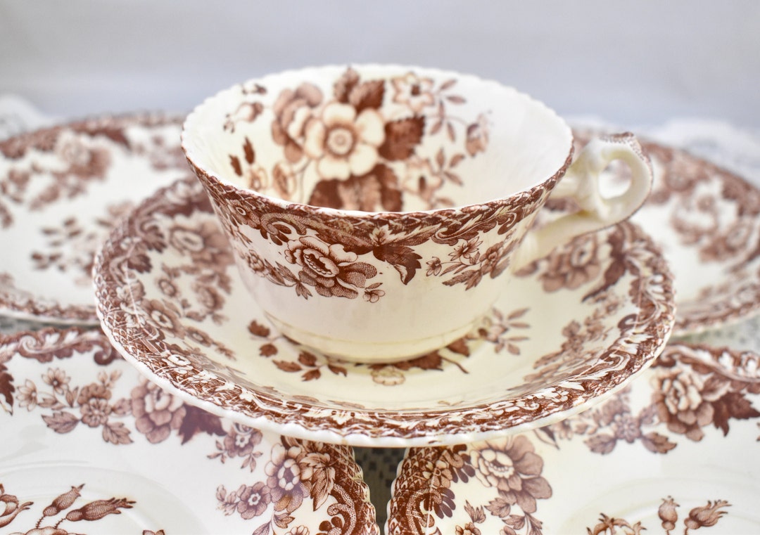 Copeland Spode Marina - Brown Transferware Cups and Saucers - Royal ...