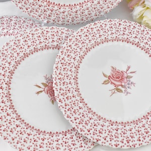 Set of 4 Rose Bouquet Dinner Plates Multi-color Transfer - Made in ...
