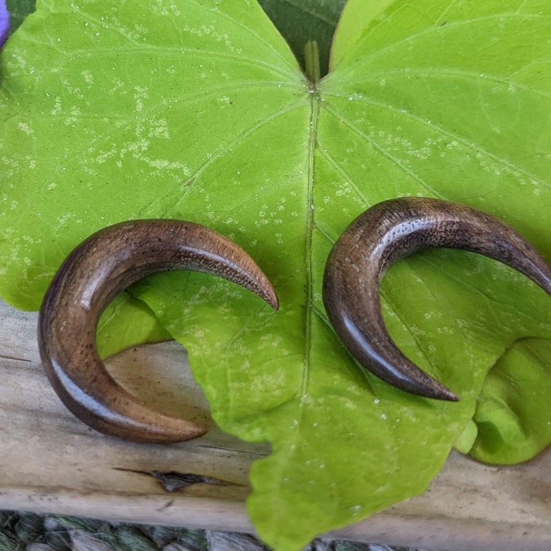 0 Gauge Septum - Etsy