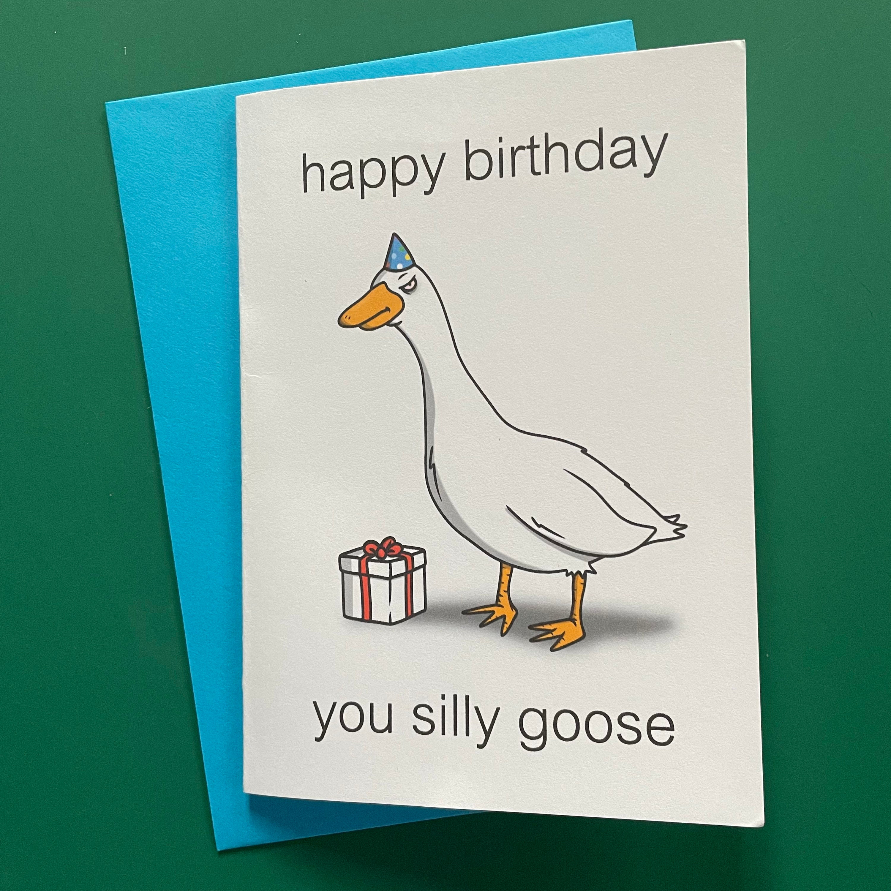 Untitled Goose Funny Enamel Pin / Vinyl Stickers / - Etsy UK