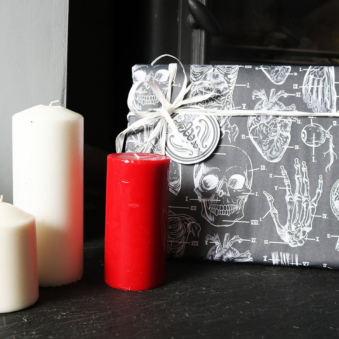 Anatomical Vintage Gift Wrap Set | Etsy