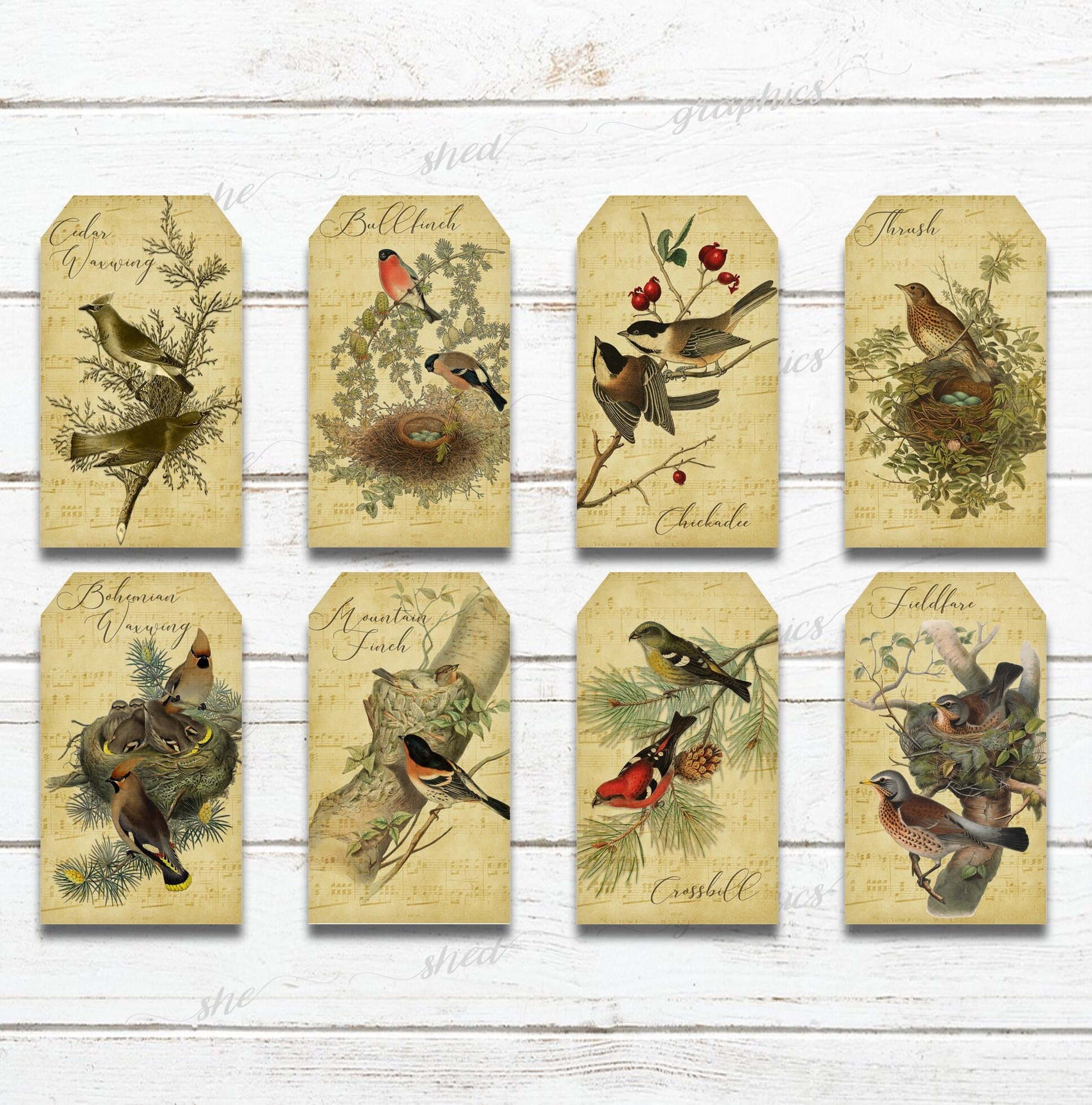 Feathered Friends, Printable Gift Tags, 2 X 3.5, Bird Images, Printable ...