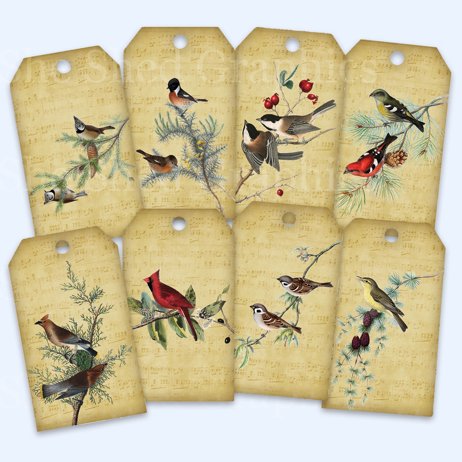 Feathered Friends, Printable Gift Tags, 2 X 3.5, Bird Images, Printable ...