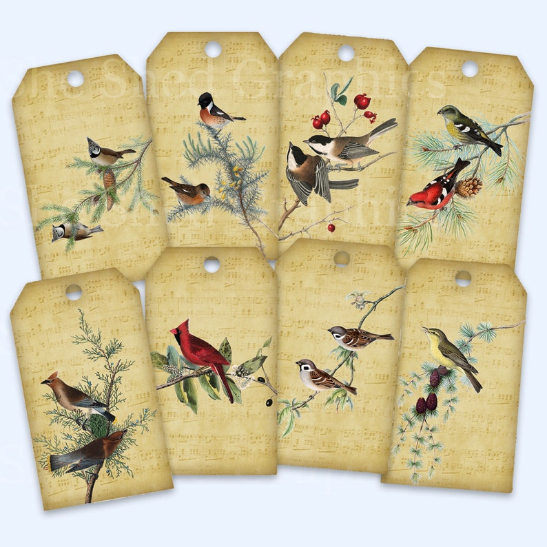 Feathered Friends, Printable Gift Tags, 2" X 3.5", Bird Images ...
