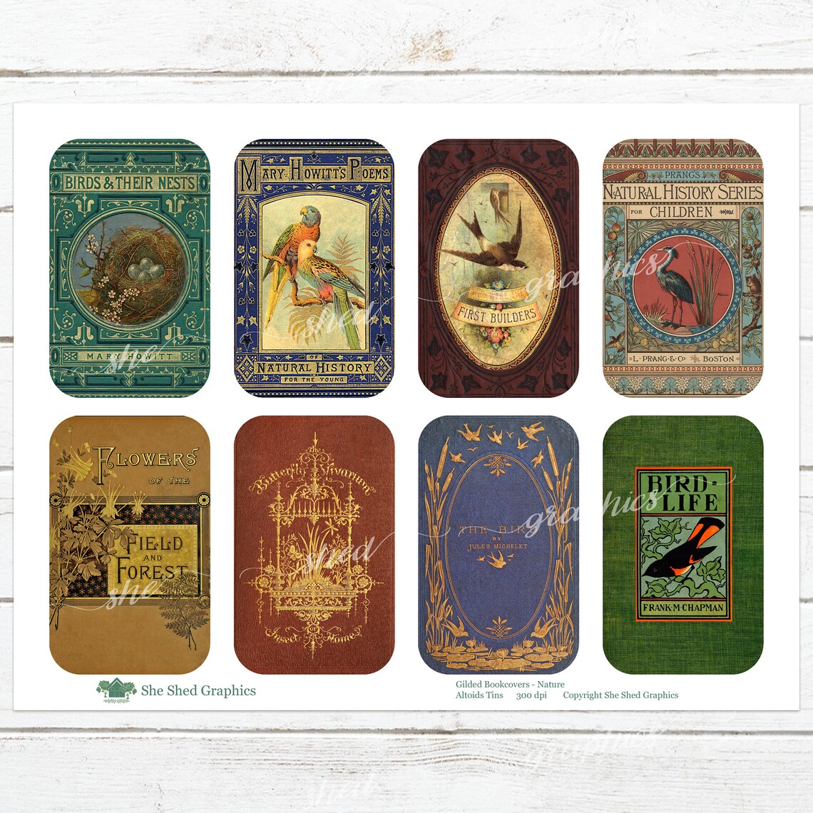 Altoid Tin Inserts, Birds and Nature Bookcovers, Printable Digital ...