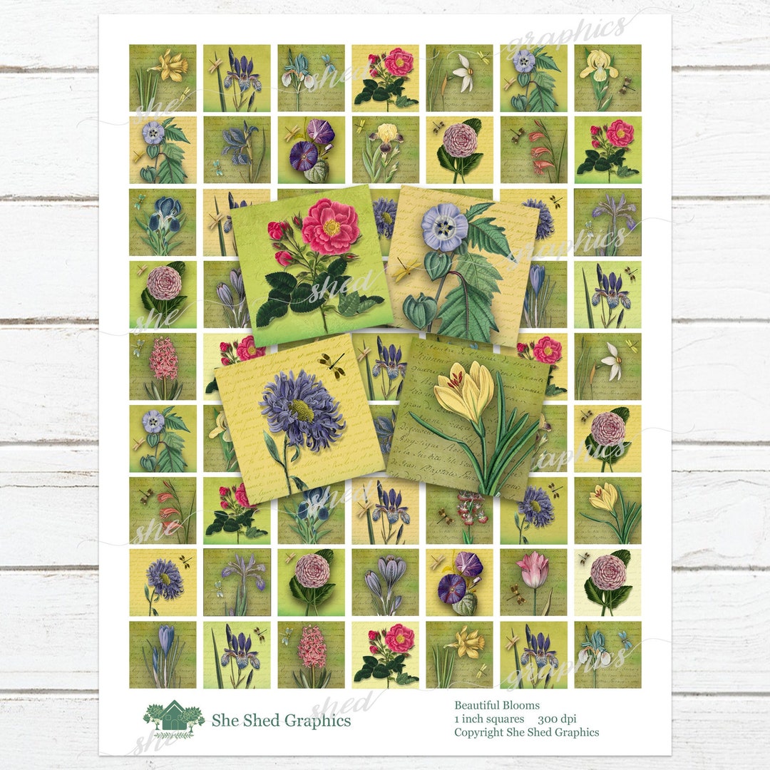 Botanical Flower Images, 1 Inch Square Tiles (digital Download) - Etsy