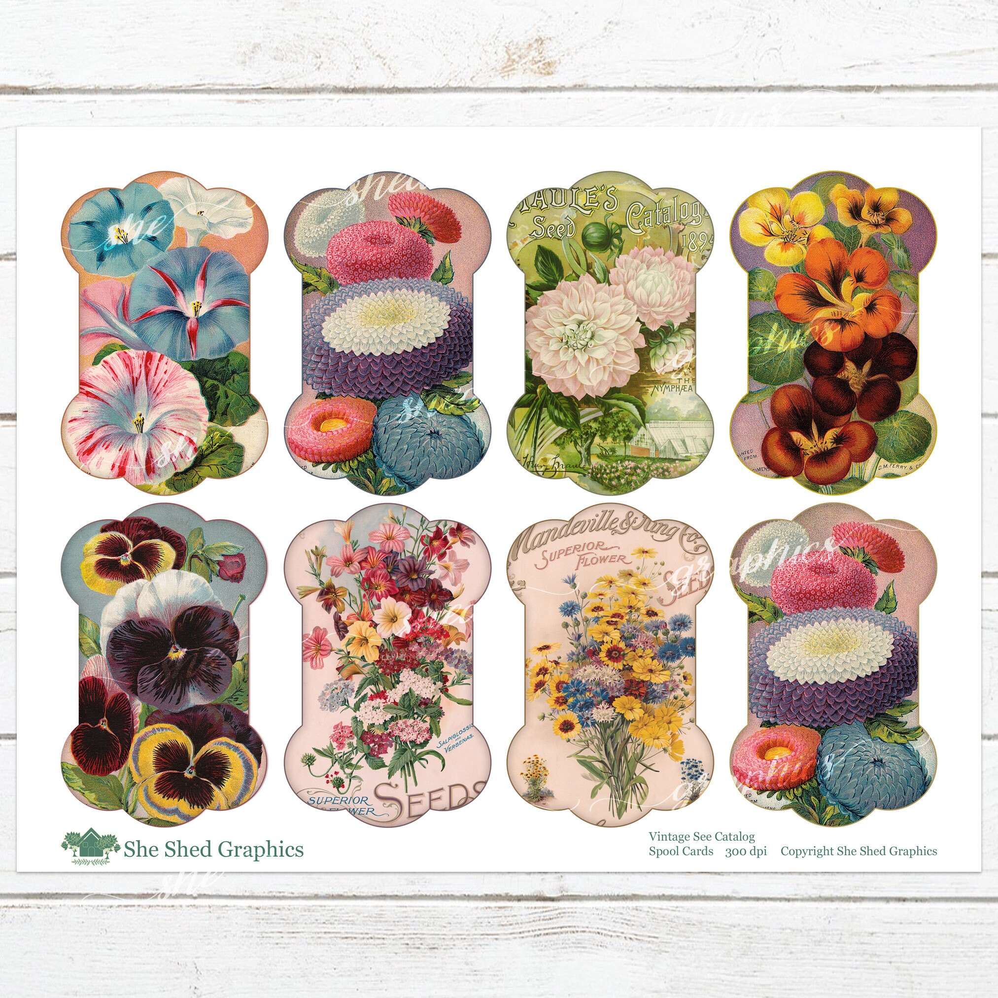 Ribbon Cards, Lace Spool, Vintage Seed Catalog, Printable Spool, Gift ...