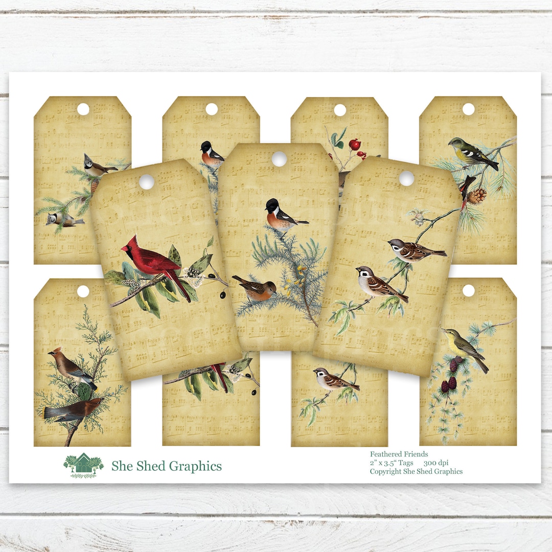 Feathered Friends, Printable Gift Tags, 2" X 3.5", Bird Images ...