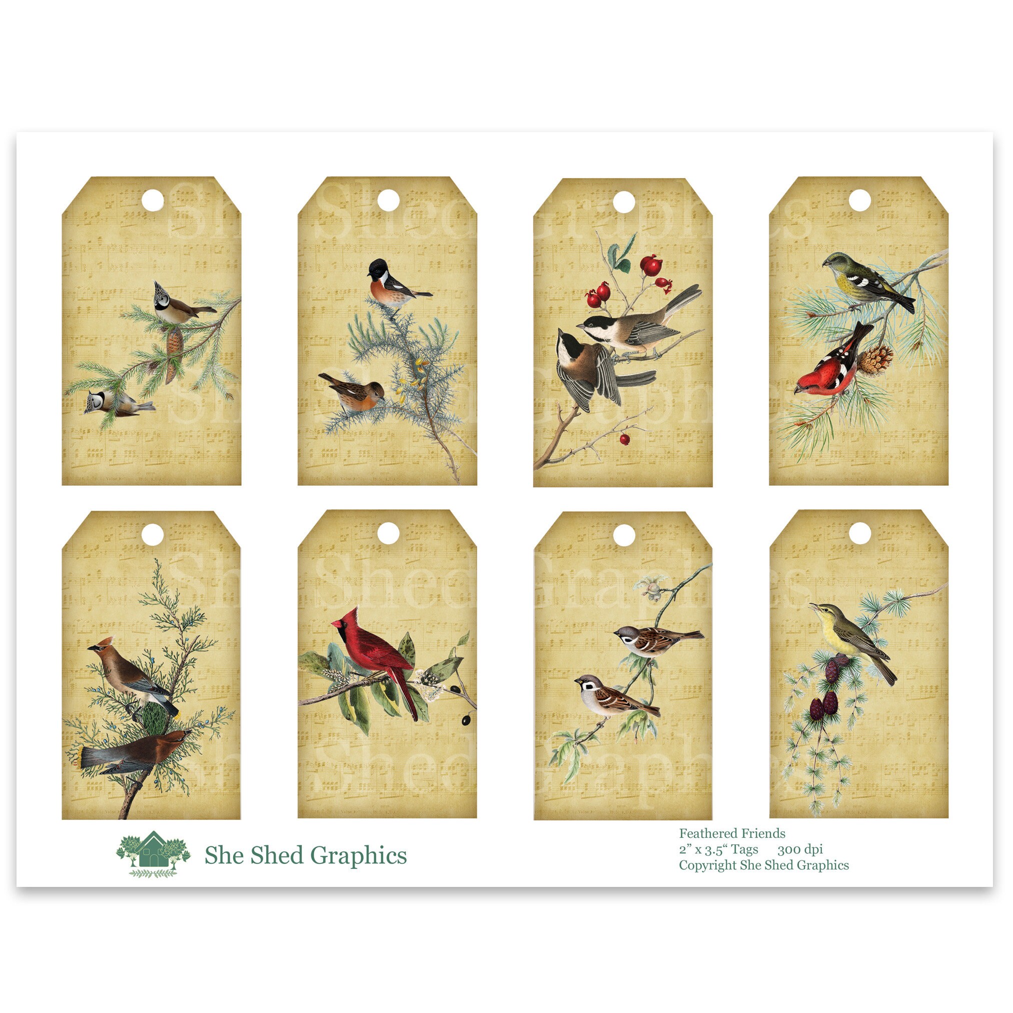 Feathered Friends, Printable Gift Tags, 2 X 3.5, Bird Images, Printable ...