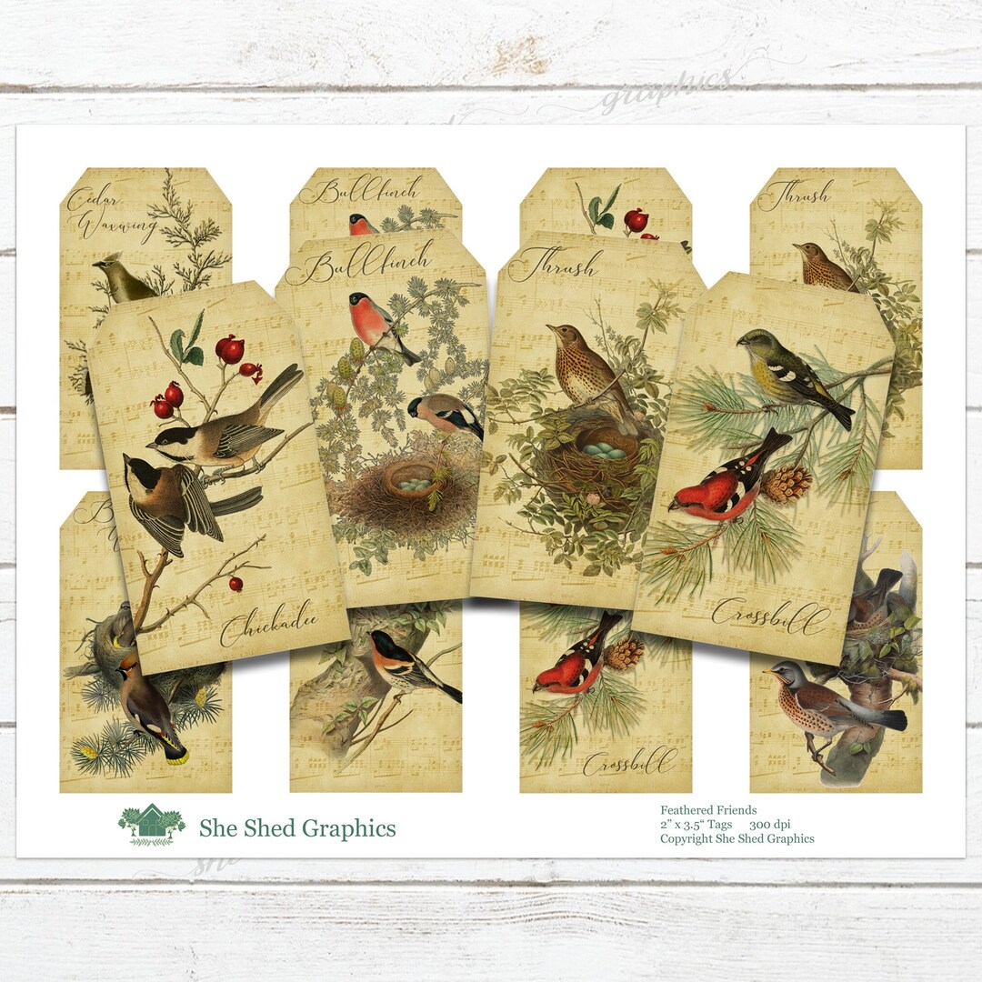 Feathered Friends, Printable Gift Tags, 2" X 3.5", Bird Images ...