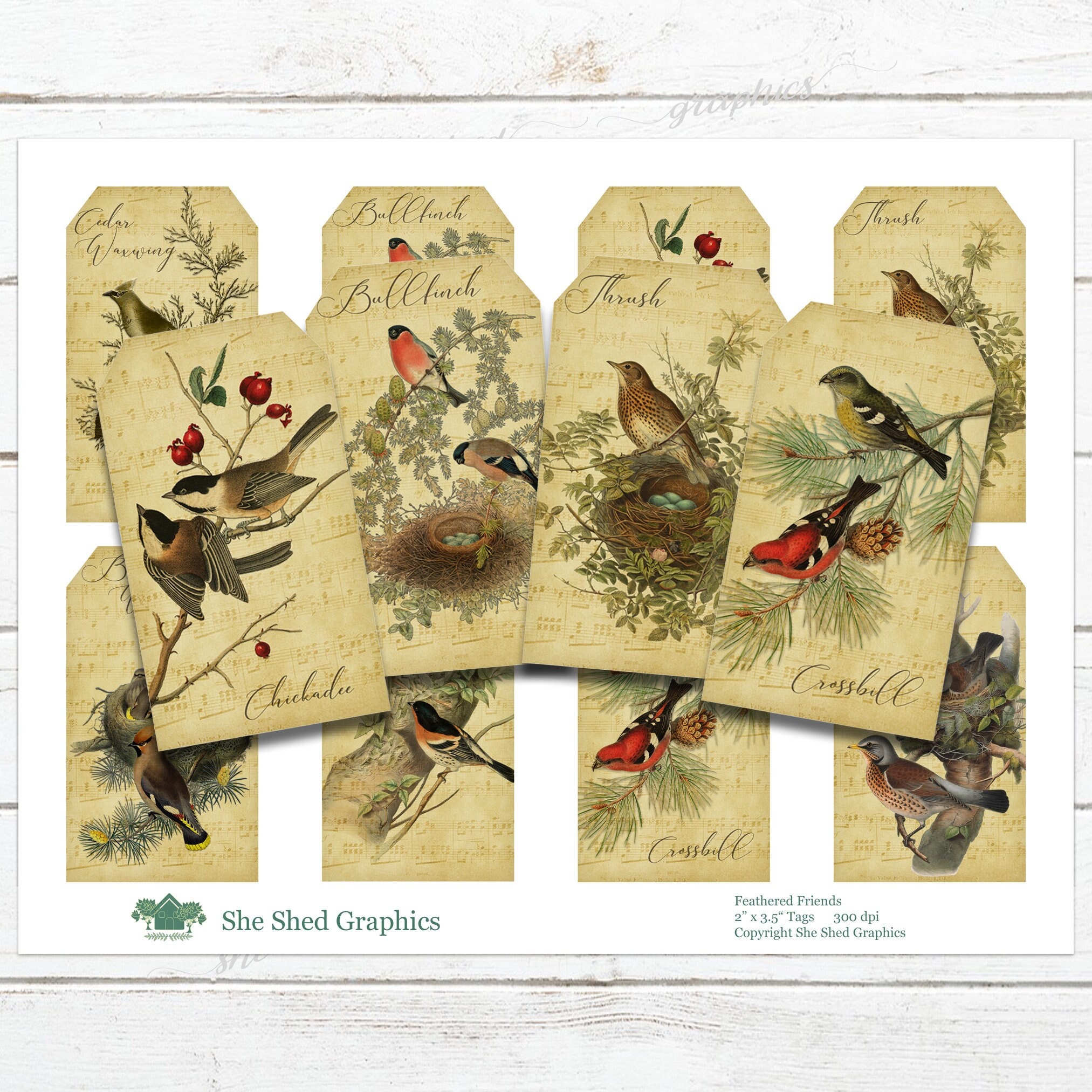 Feathered Friends, Printable Gift Tags, 2 X 3.5, Bird Images, Printable ...