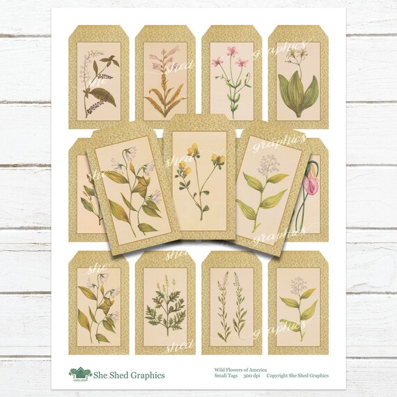 Wild Flower Printable Floral Tags Vintage Botanical Gift - Etsy