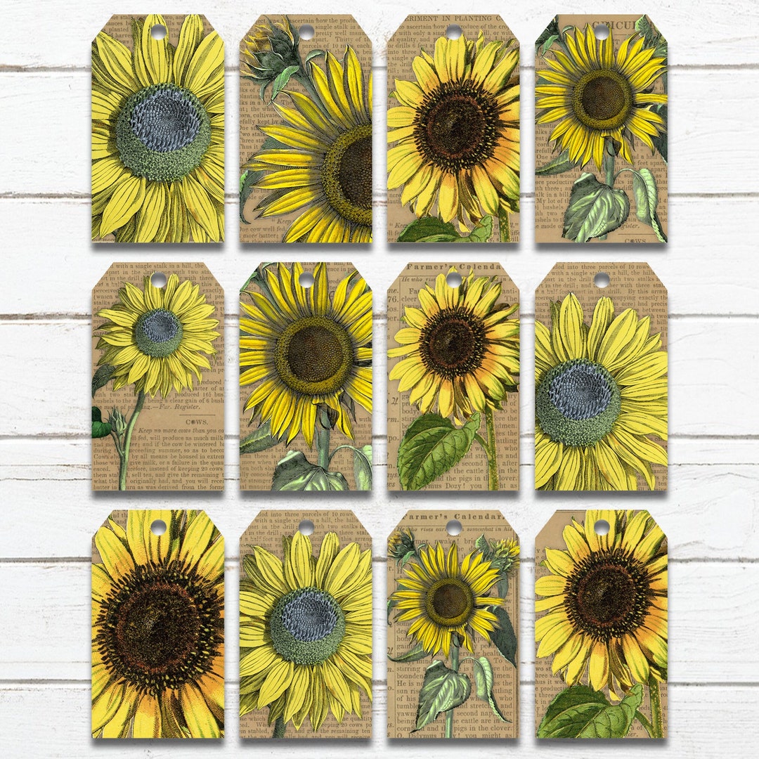 Vintage Sunflower Gift Tags, Printable Autumn Images (digital Download ...