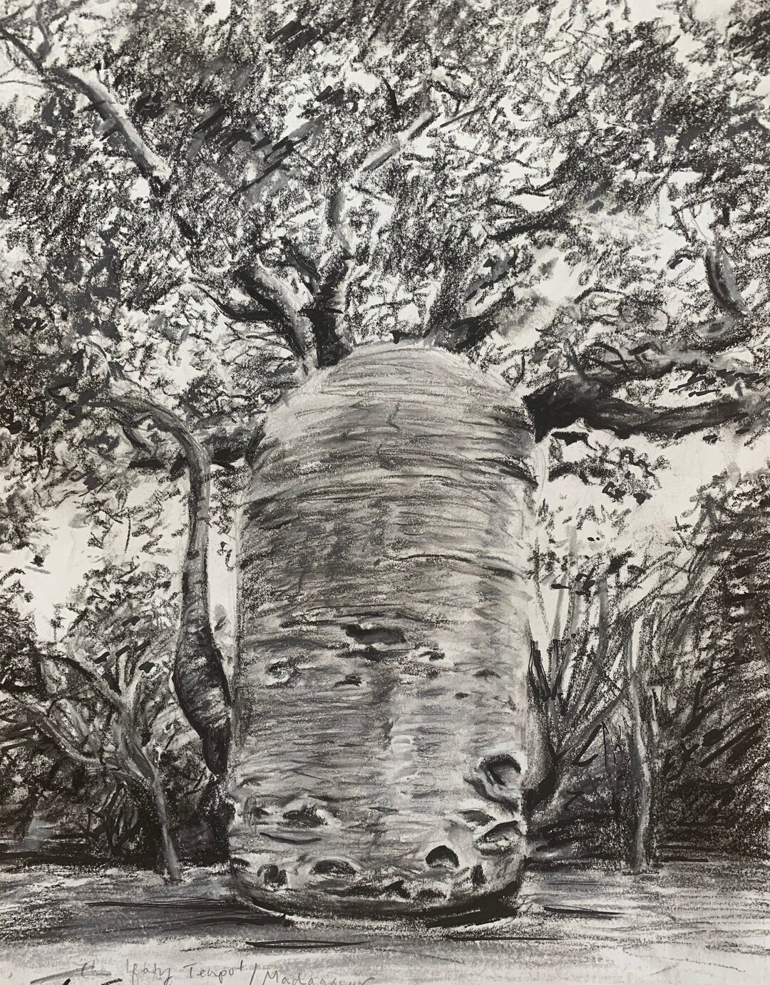 Teapot Tree Drawing - Etsy