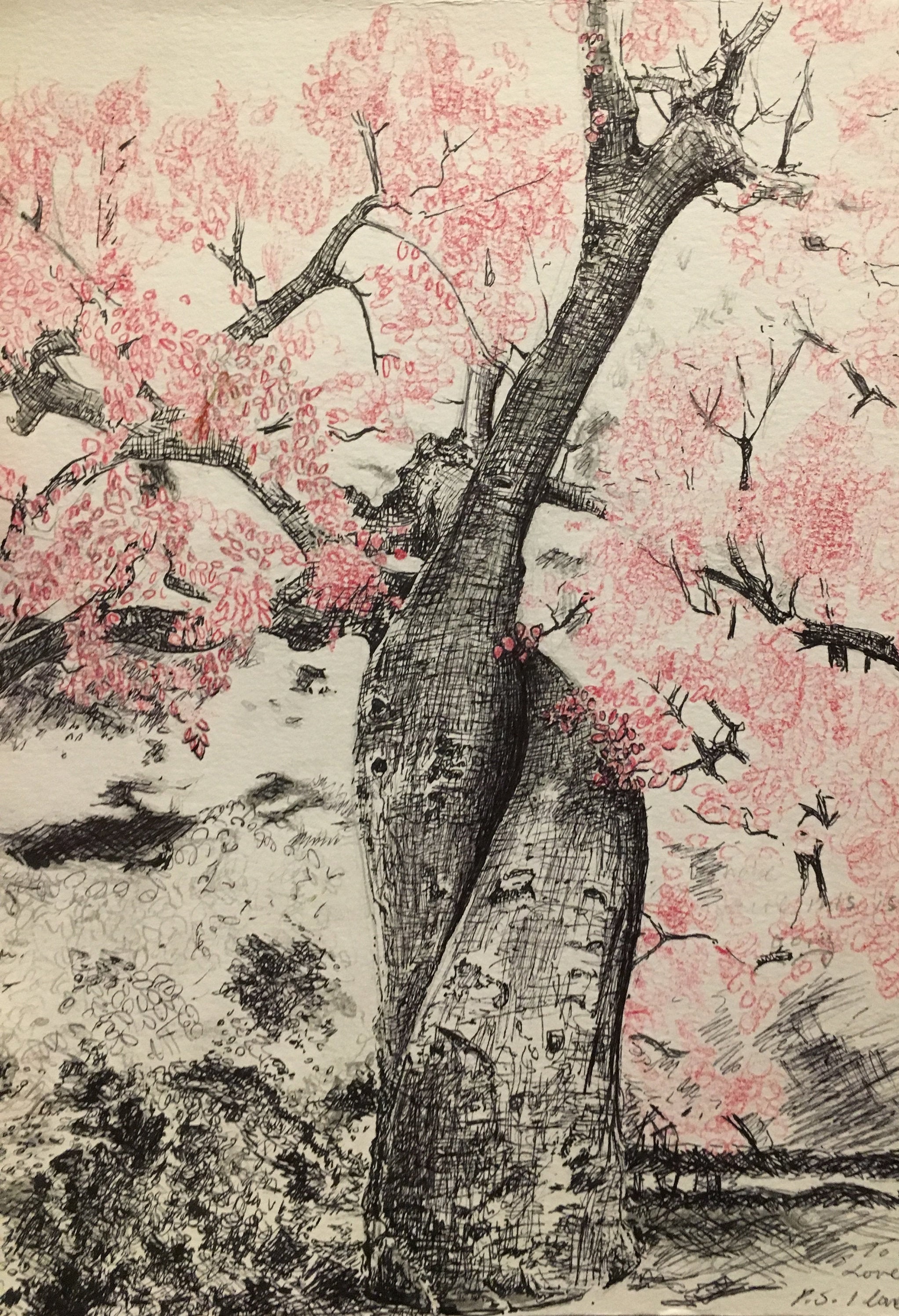 Spring Bloom Tree Drawing - Etsy