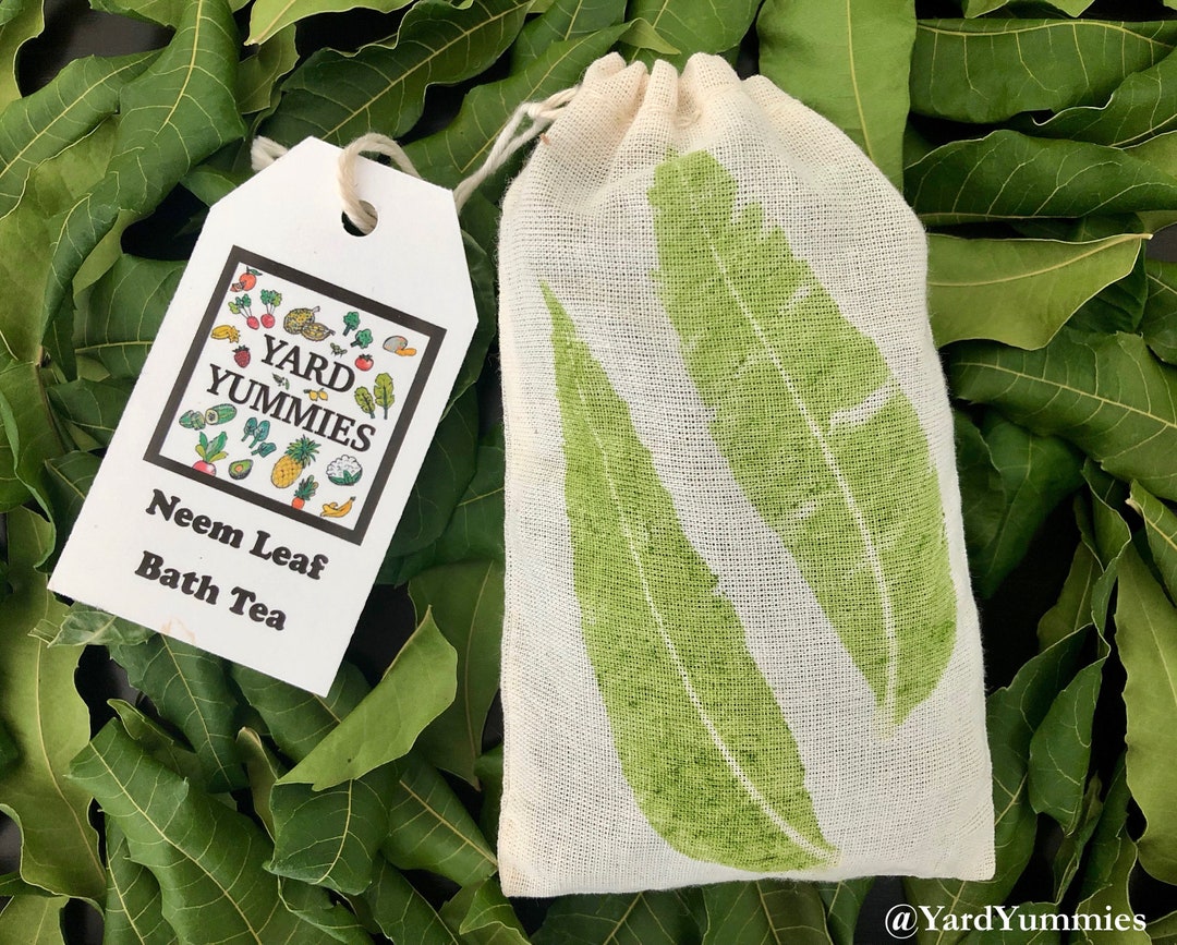 Té de baño con hojas de neem de cosecha propia: té relajante para la ...