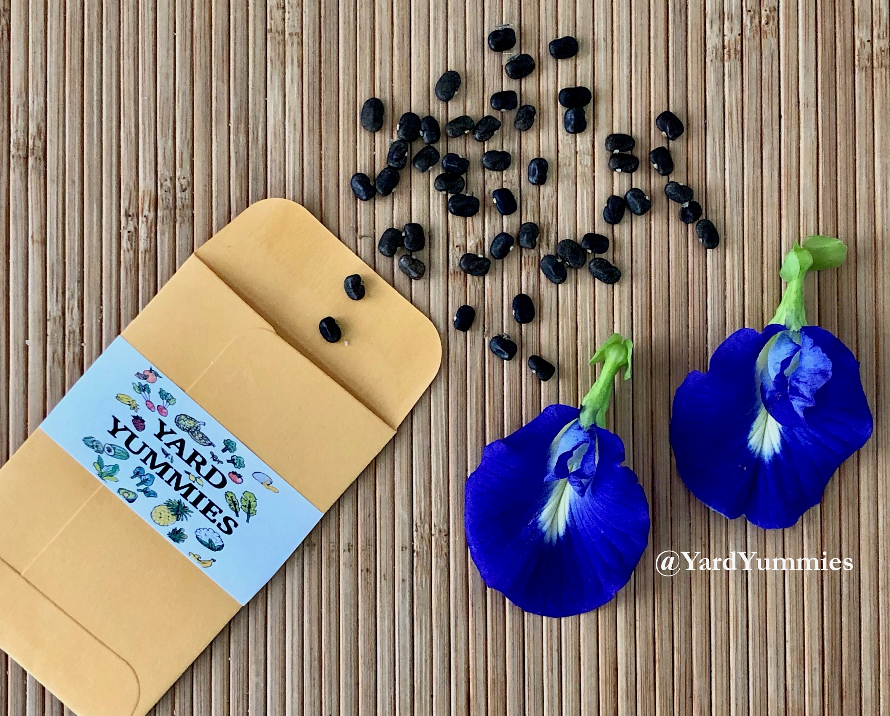Blue Butterfly Pea Seeds Packet of 25 Seeds - Etsy