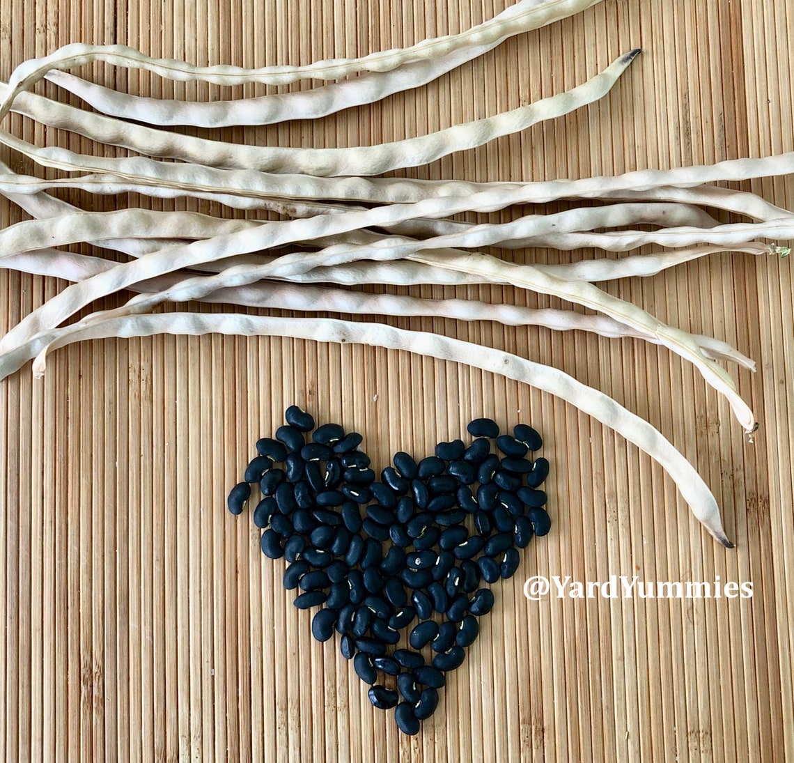 25 Heirloom Puerto Rican Black Bean SEEDS Pole Bean Seed - Etsy