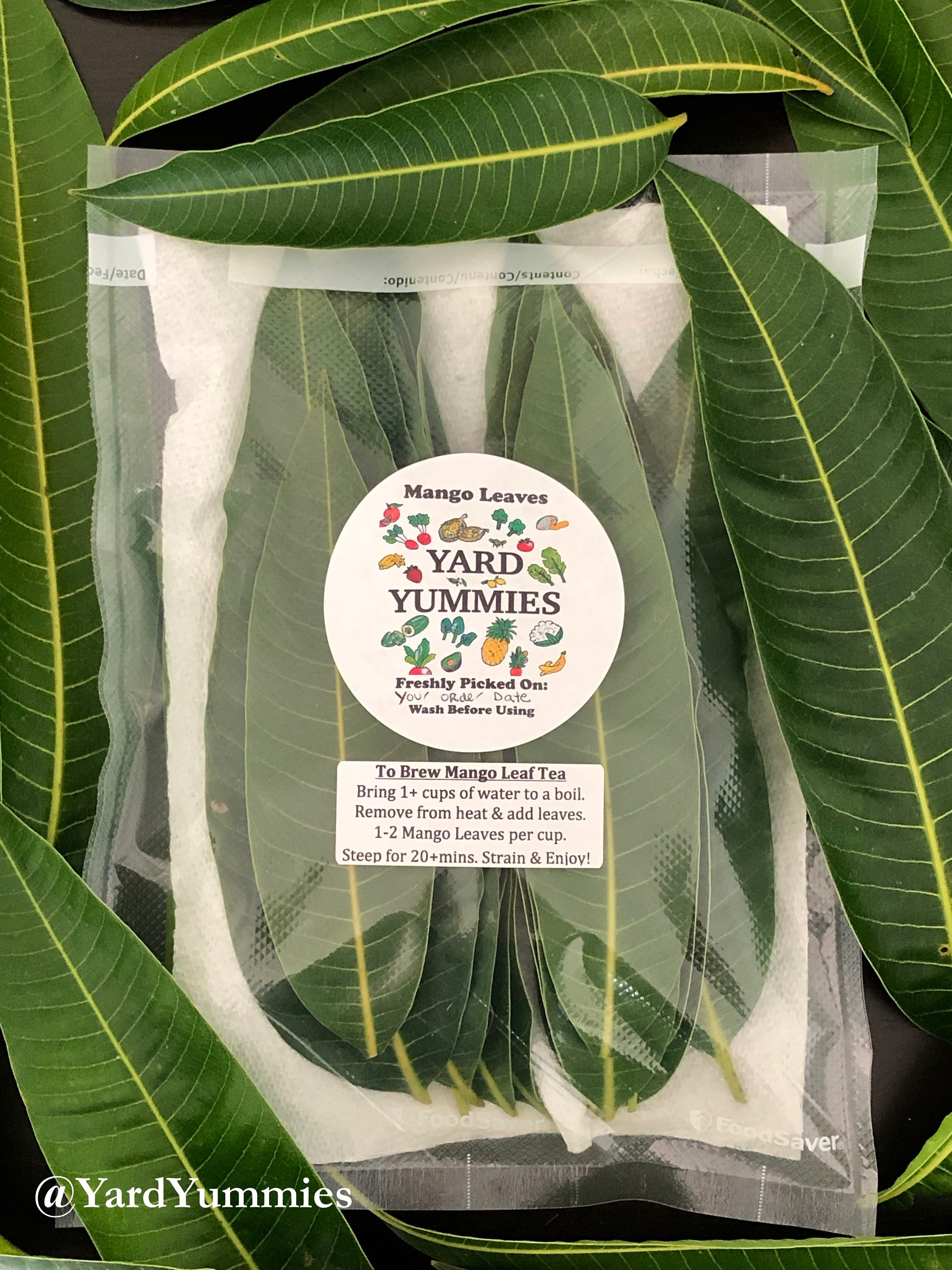 Fresh Mango Leaves: Naturally Grown in Florida, Loose Leaf Tea - Etsy
