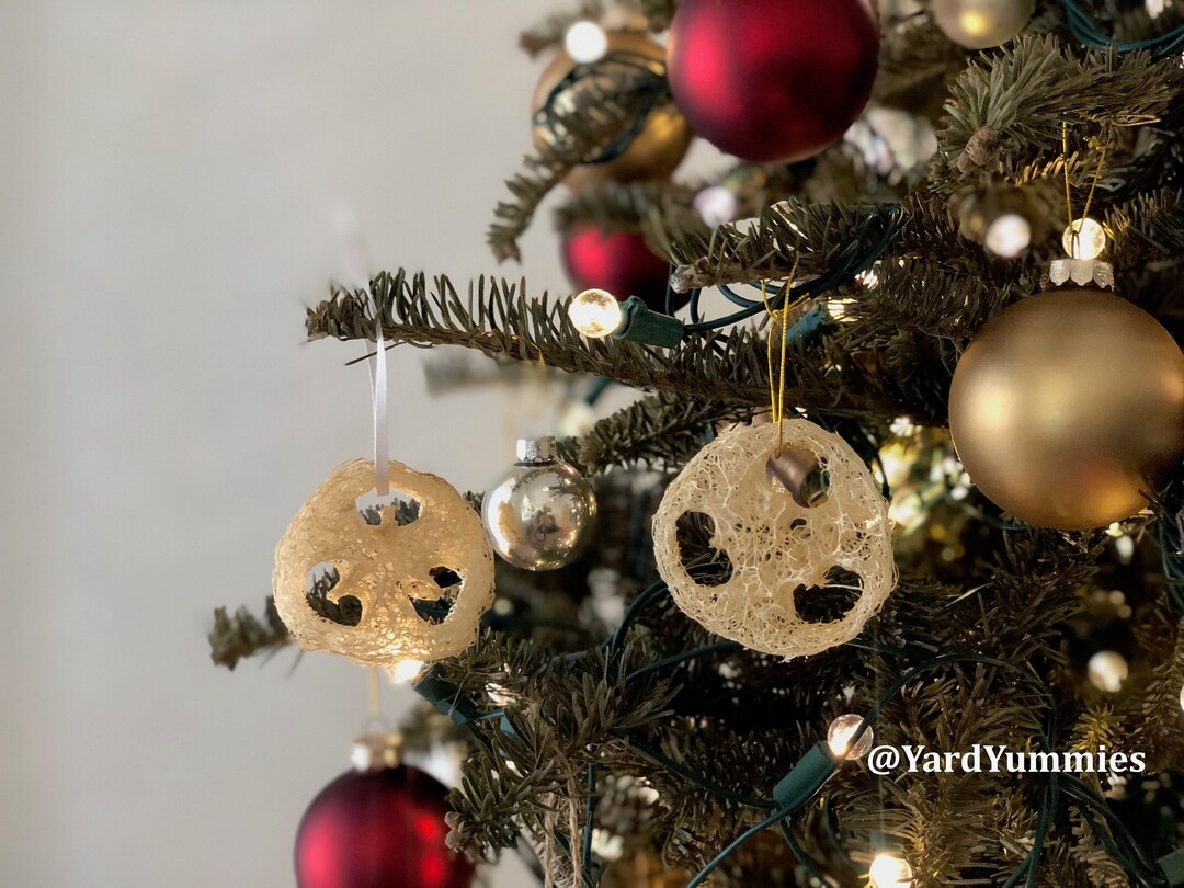 Loofah Slice Ornaments (8pk) Luffa Sponge Holiday Decor Gift Natural ...