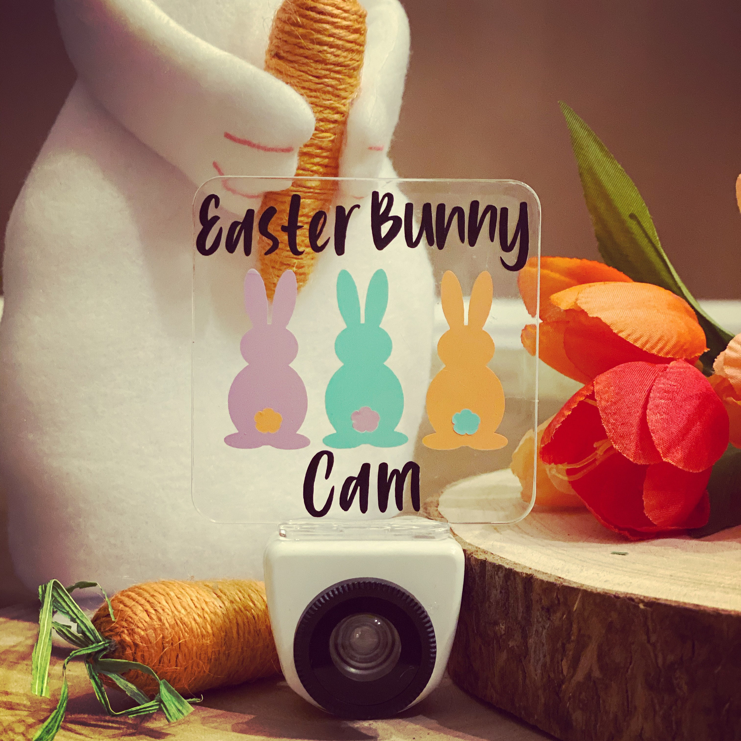 Bunny Cam. Easter bunny camera. Kids Easter ideas. Kids Easter | Etsy