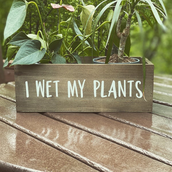 Plant Puns Pots - Etsy
