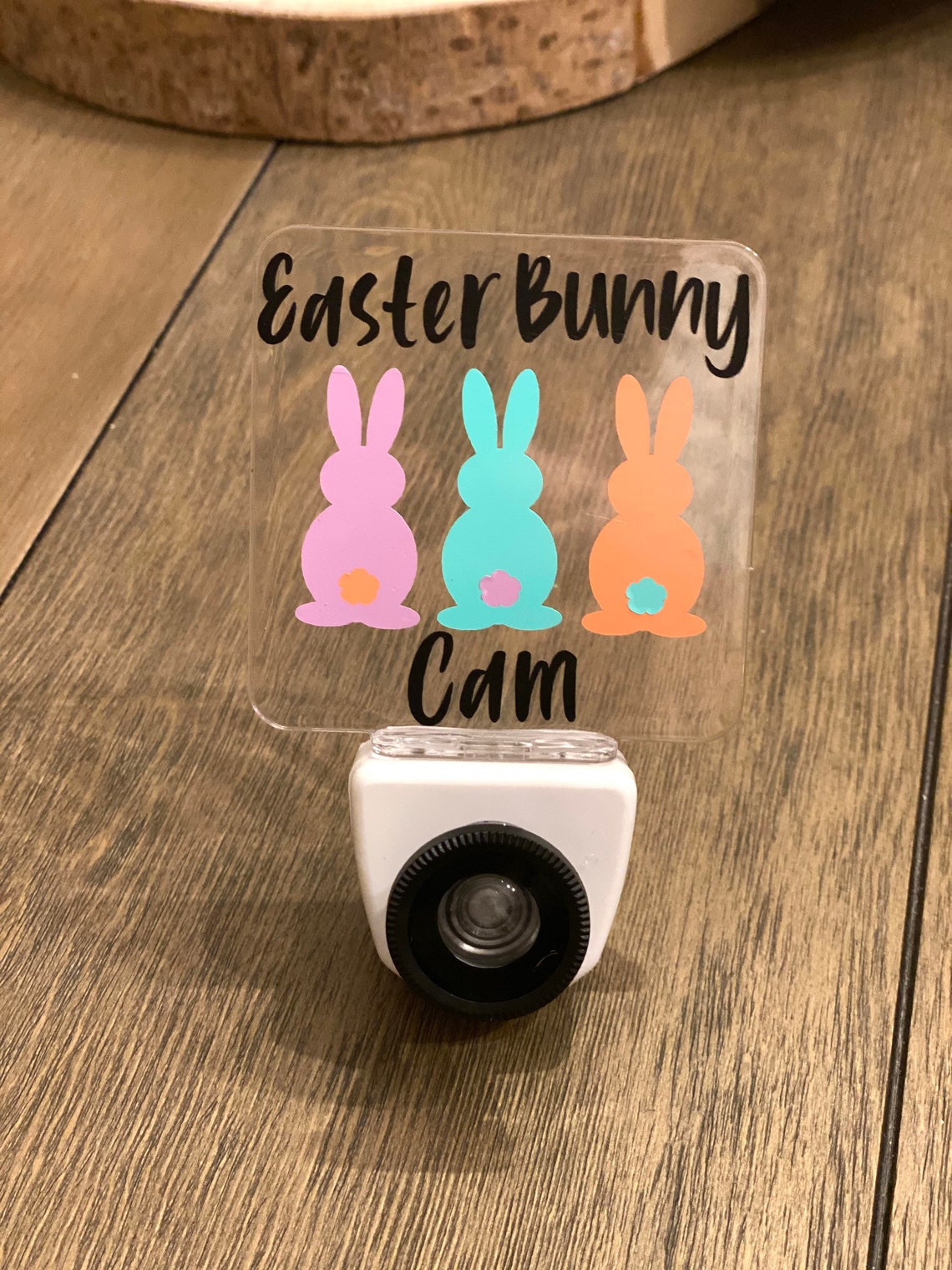 Bunny Cam. Easter Bunny Camera. Kids Easter Ideas. Kids Easter | Etsy