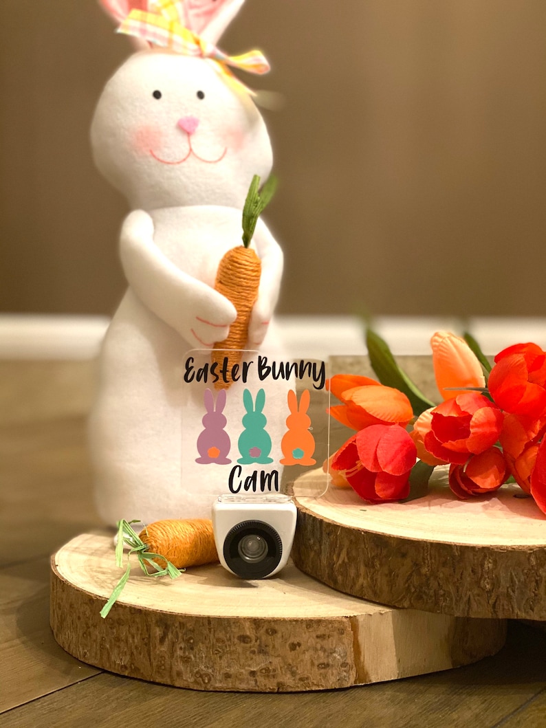 Bunny Cam. Easter Bunny Camera. Kids Easter Ideas. Kids Easter | Etsy