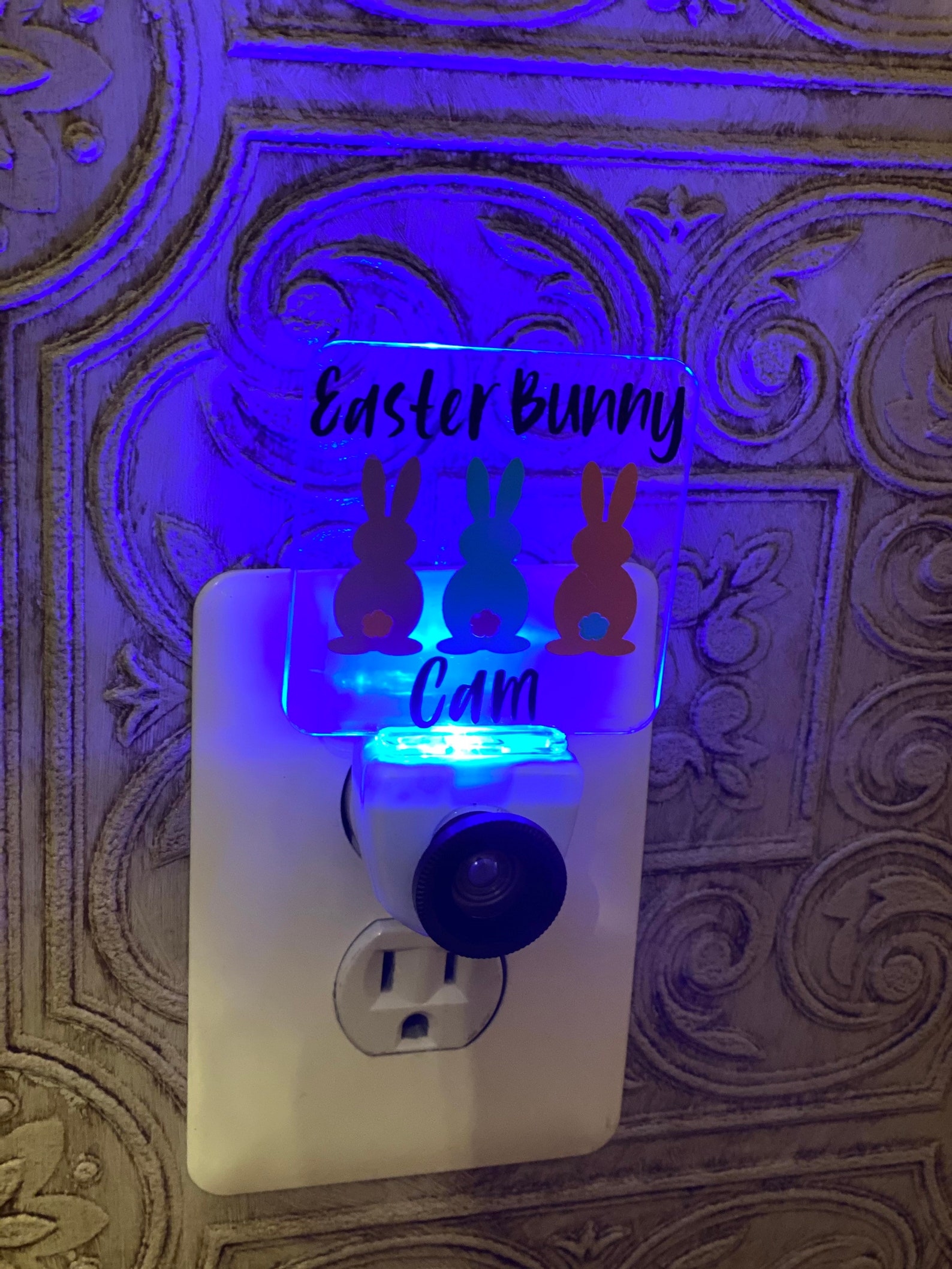 Bunny Cam. Easter Bunny Camera. Kids Easter Ideas. Kids Easter | Etsy
