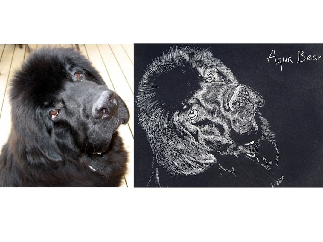 Pet Portraits-scratch Art - Etsy