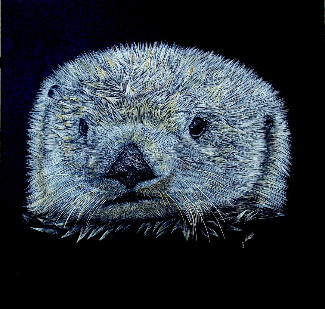 Sea Otter-fine Art Print-10x10" - Etsy