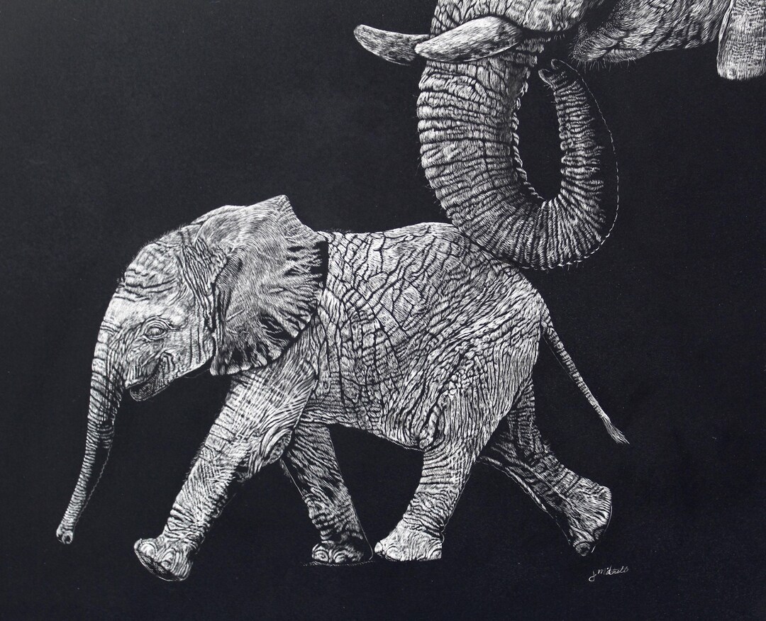 Asian Elephant - Original Scratch Art. - Etsy