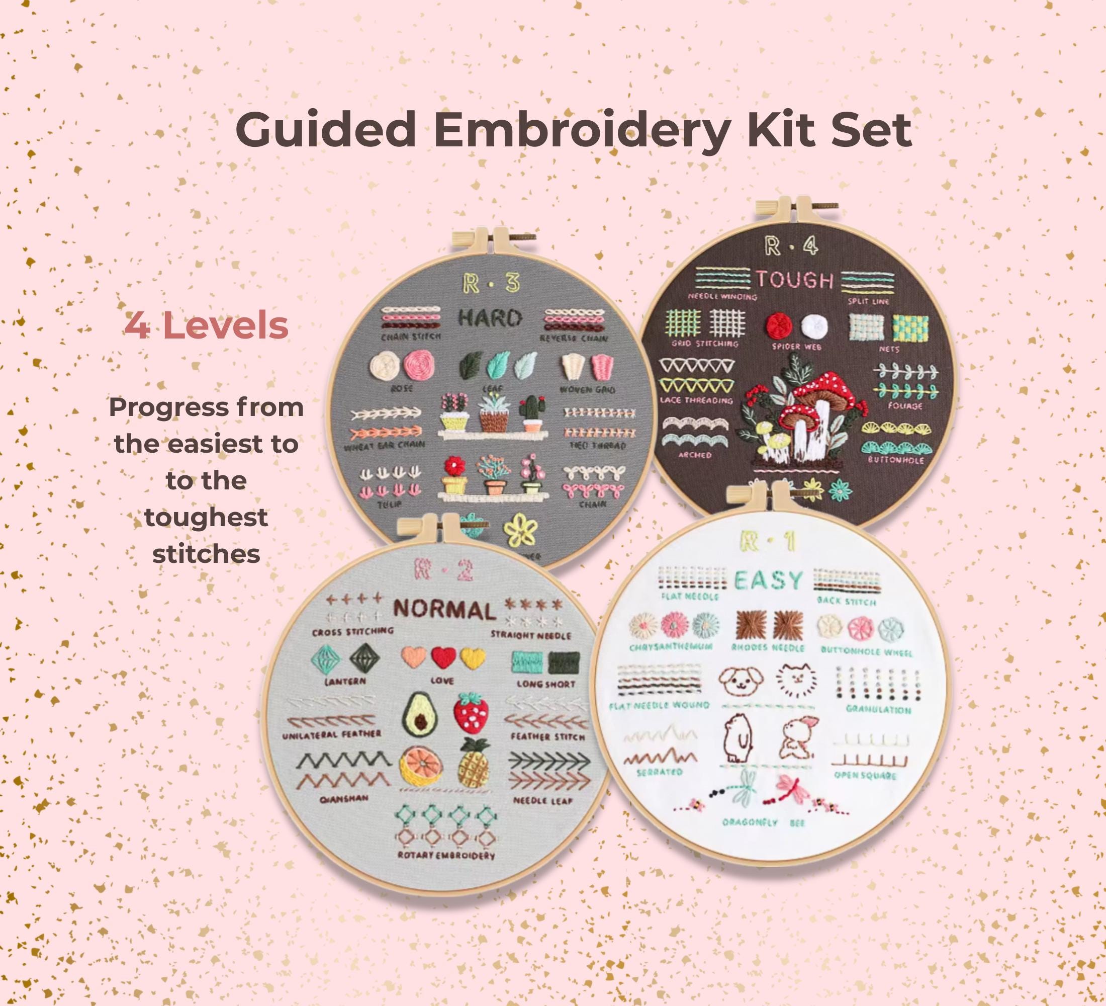 Embroidery Progression Kit, Skill-building Designs (easy to Expert) Set ...