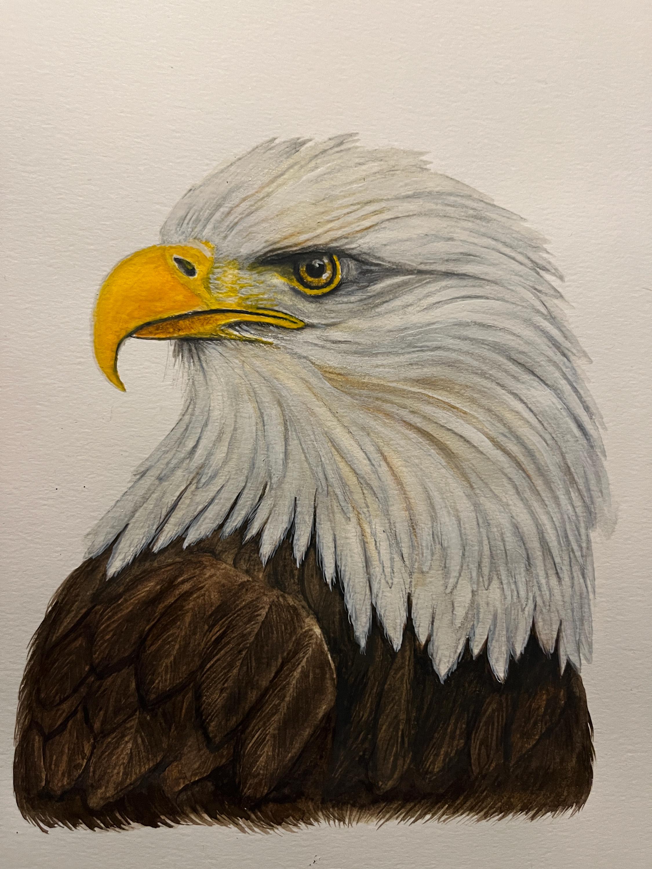 Eagle - Etsy