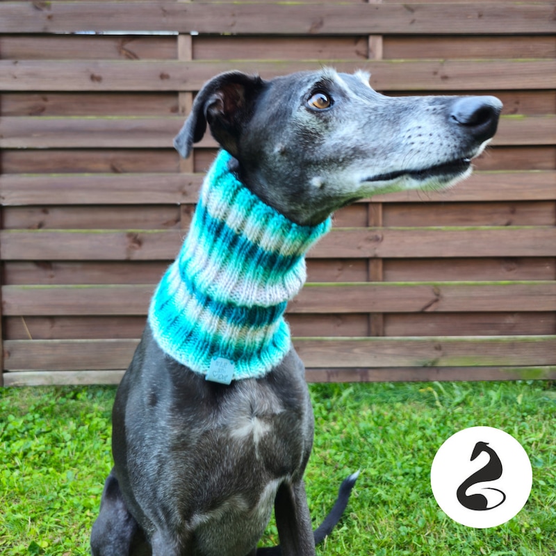 Greyhound Snood - Etsy