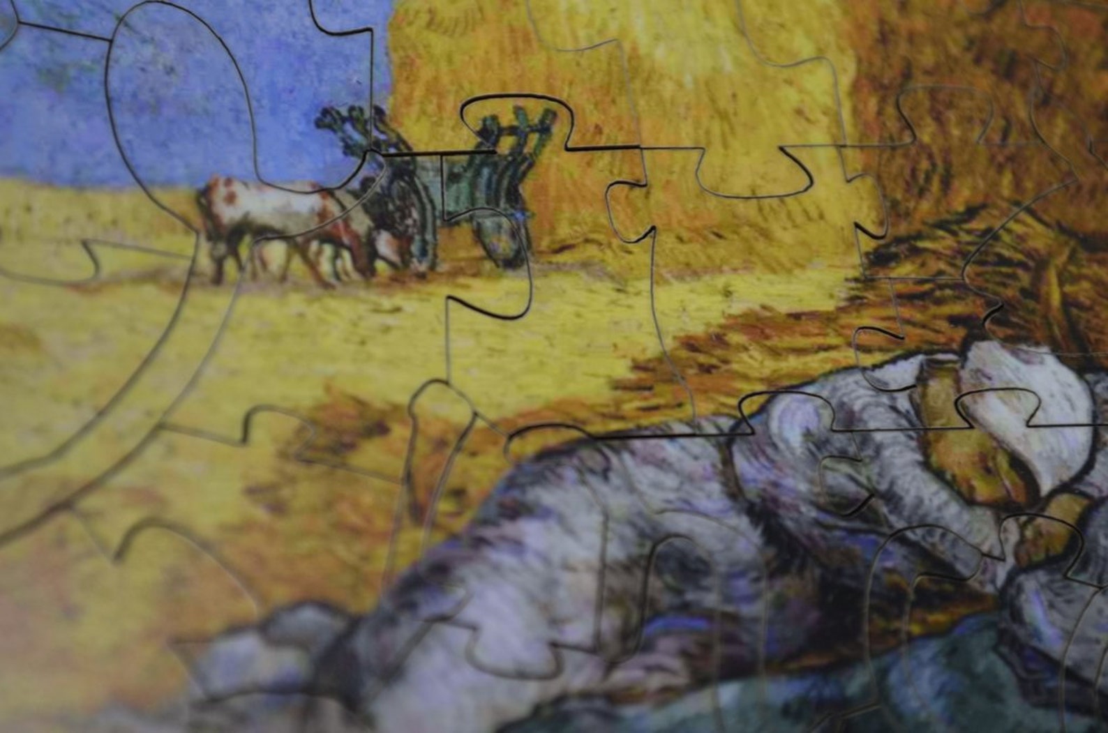 Wooden Jigsaw Puzzles for Adults - the Siesta by Vincent Van Gogh (50 ...