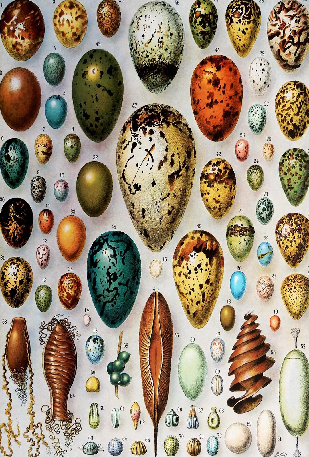 Easter Eggs Jigsaw Puzzles for Adults, Wooden Puzzles, Bird Eggs Puzzle ...