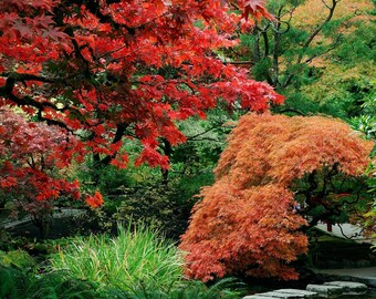 Wooden Jigsaw Puzzles for Adults Fall Plowing by Grant Wood - Etsy