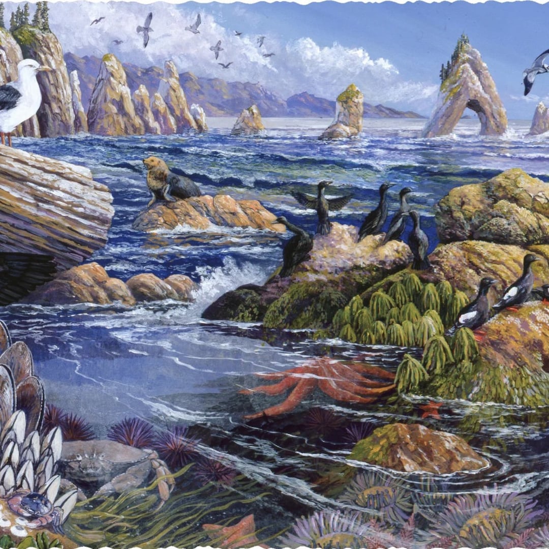Seascape Jigsaw Puzzles for Adults 500 Pieces by Nautiluspuzzles ...