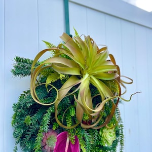 Large Tropical Double Door Everyday Wreath | Summer Succulent Door ...